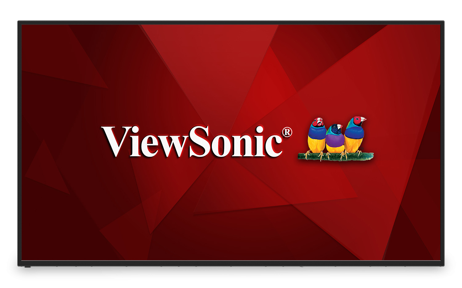 ViewSonic | Bluum